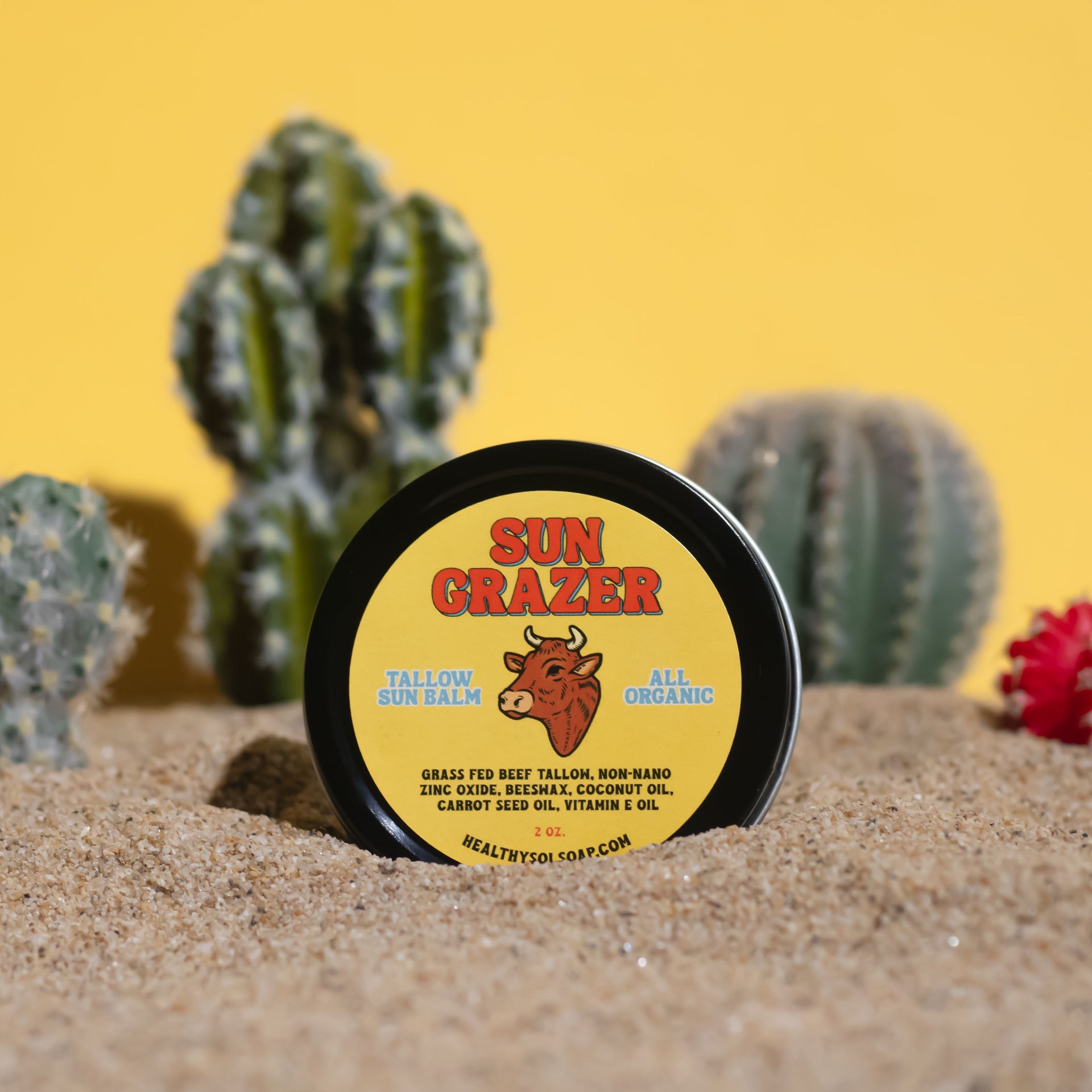 Health y Sol : The Most Delicious Bar of Soap