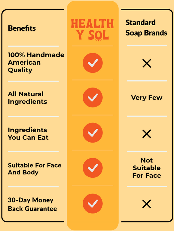 Health y Sol : The Most Delicious Bar of Soap